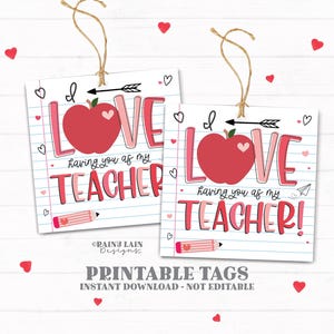 Teacher Gift Tag From Student, Valentine's Day Teacher Gift, I Love ...