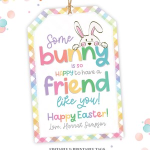 Editable Easter Bunny Tags, Spring Classroom Gift Tag, School Favor Tag ...