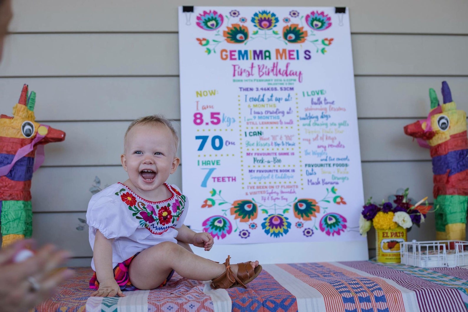 Fiesta First Birthday Sign Fiesta Theme Milestones Sign 1st - Etsy