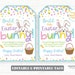 Create Your Own Easter Bunny Tag Build Make Play Dough Gift Doh Spring ...