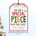 You're a Special Piece of Our Class Tag Christmas Building Block Puzzle ...