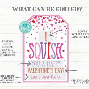 I Squish You Happy Valentine's Day Tag, Squishy Toy Squishee Squeeze ...