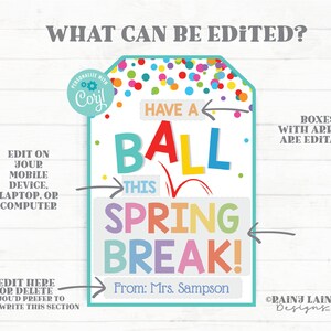 Have a Ball This Spring Break Tags Easter Beach Ball Bouncy Ball Tag ...