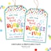 Hope Your Spring Break is Bubbles of Fun Tags Spring School Gift Tags ...