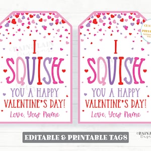 I Squish You Happy Valentine's Day Tag, Squishy Toy Squishee Squeeze ...
