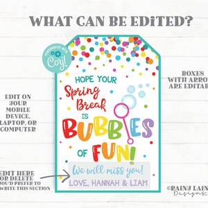 Hope Your Spring Break is Bubbles of Fun Tags Spring School Gift Tags ...