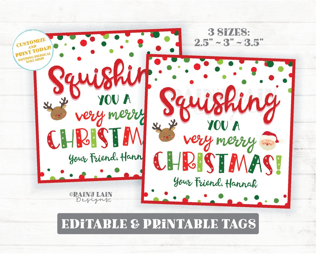 Squishing You a Merry Christmas Squishies Holiday Gift Squishy Toy ...