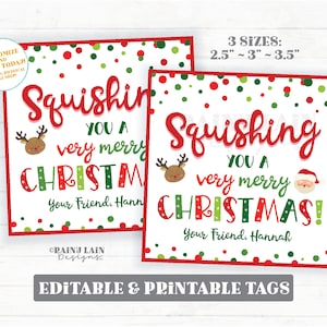 Squishing You a Merry Christmas Squishies Holiday Gift Squishy Toy ...