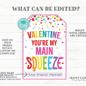You're My Main Squeeze Valentine, Squishies Valentine, Squishy Toy ...