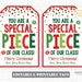 You're a Special Piece of Our Class Tag Christmas Building Block Puzzle ...