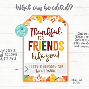 Thankful for Friends Like You Tags, Thankful Tags, Pie Tags ...