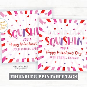 Squishin You Valentine's Day Tag, Squishy Toy, Squishee Squeeze ...