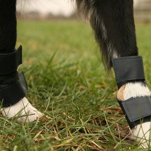 Dog Stopper Pad (carpal Pad) Protectors - Clearance Price. Hard Wearing ...