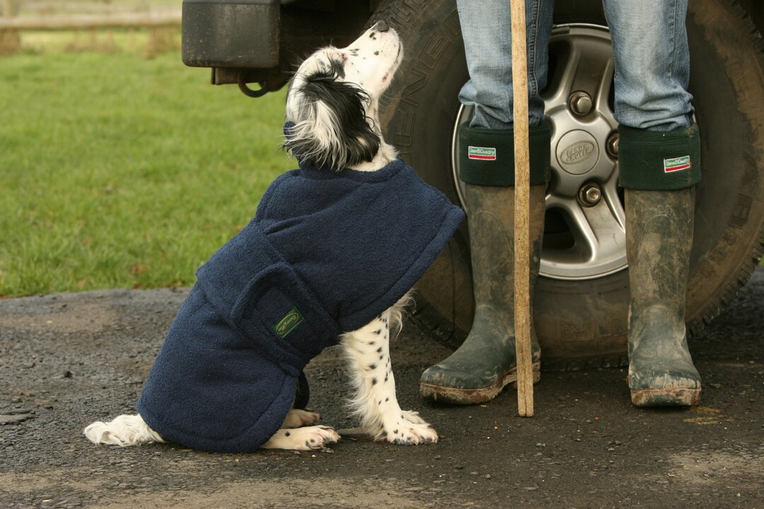 The Ultimate Dog DRYING Coat (bathrobe) for Your Dog - Lasts for Years ...