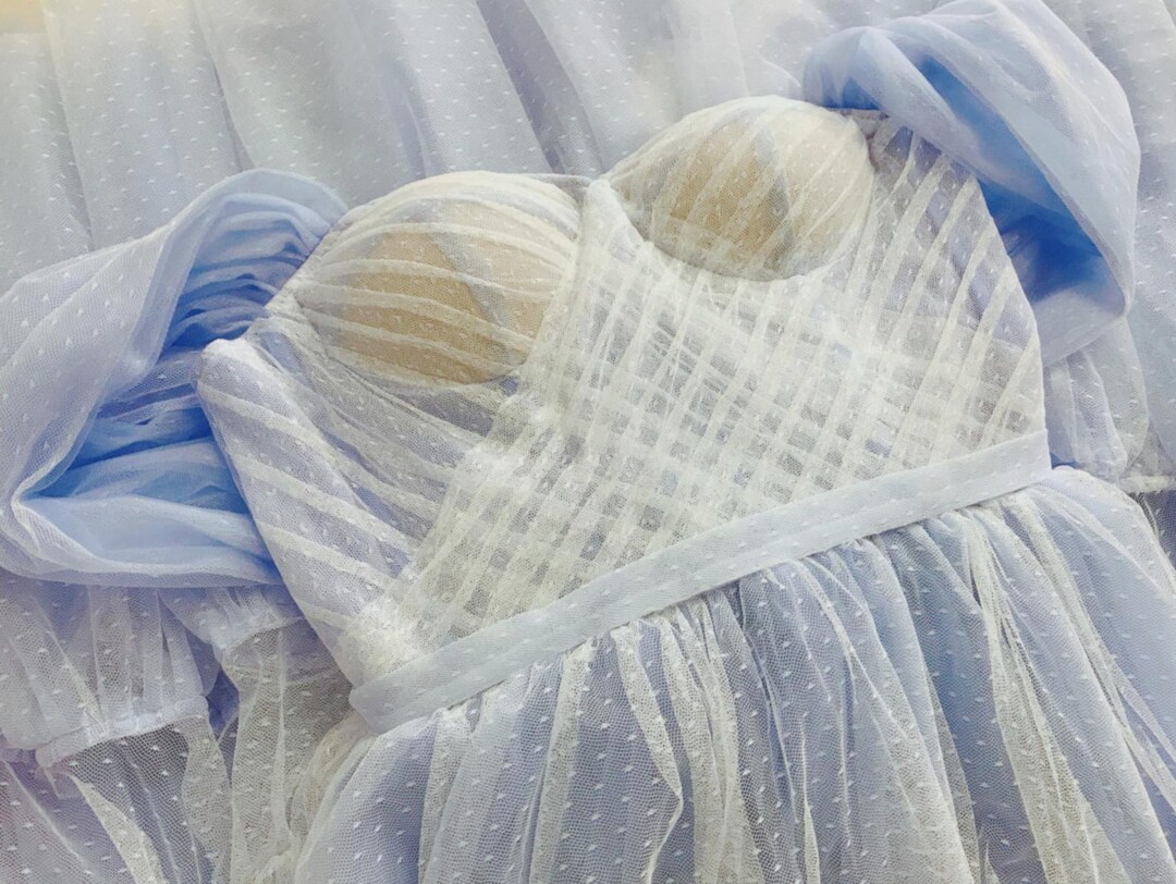 Cinderella Blue Tulle Homecoming Dress: Tea Length Off-shoulder Prom - Etsy