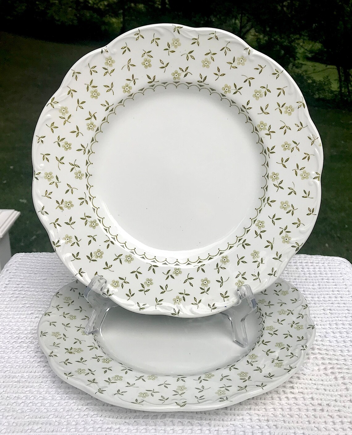 Set of TWO J & G Meakin Forget Me Not Green 10 Inch Dinner Plates - Etsy