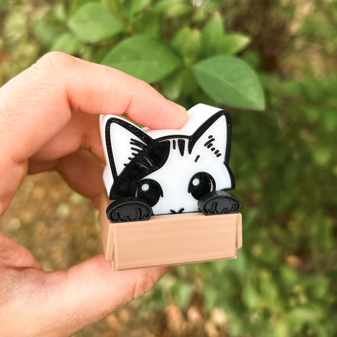 Clicky Cat Fidget Toy - Mechanical Switch Cat-in-a-box - Etsy