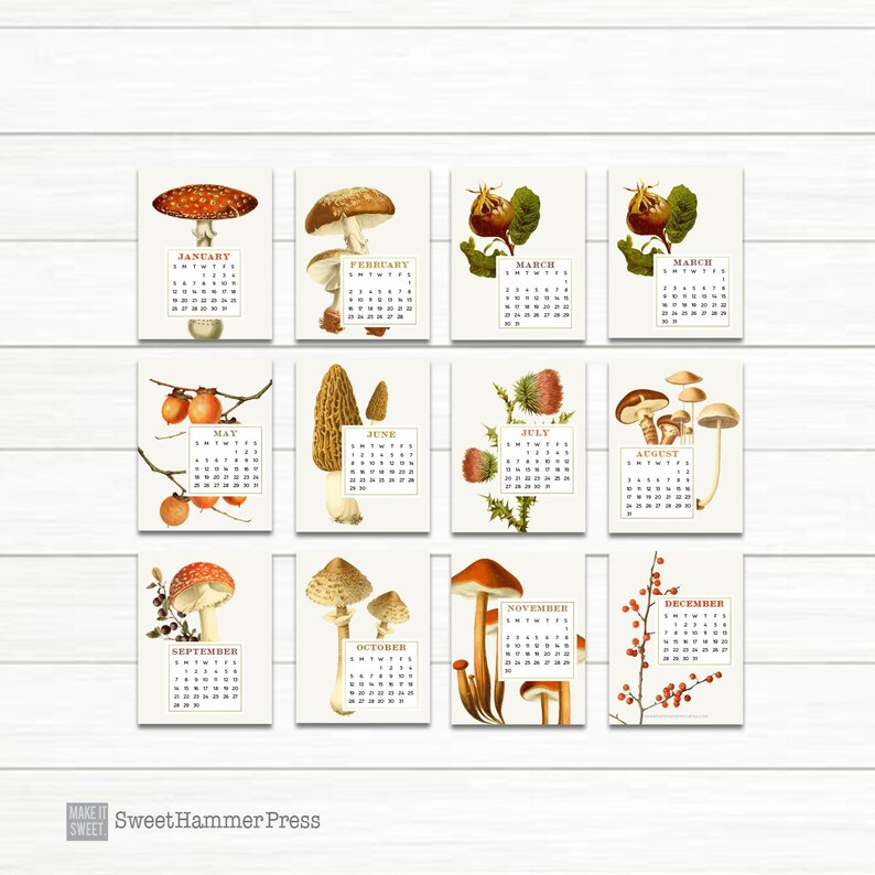 2026 Mushroom Calendar for Your Desk – Vintage Botanical Woodland ...