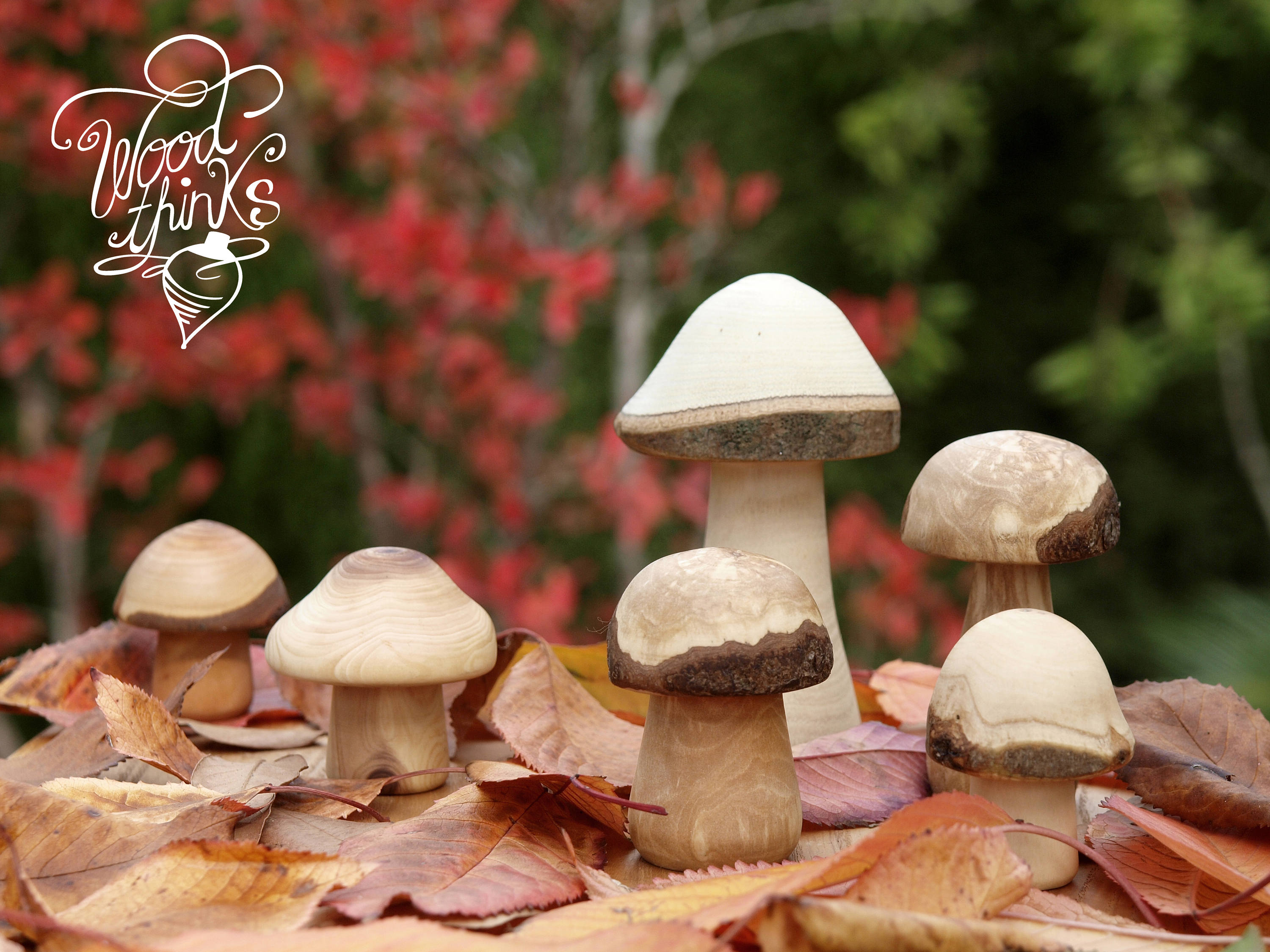 Wooden Toy Wooden Mushroom Toy Waldorf Toy Montessori Room - Etsy