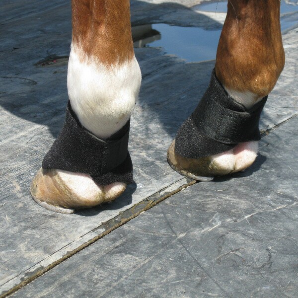 Hoof Boots - Etsy