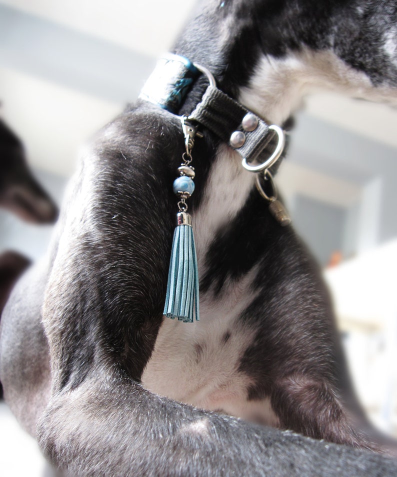 Dog Collar Tassels Keychain With Charm. Various Colors. - Etsy