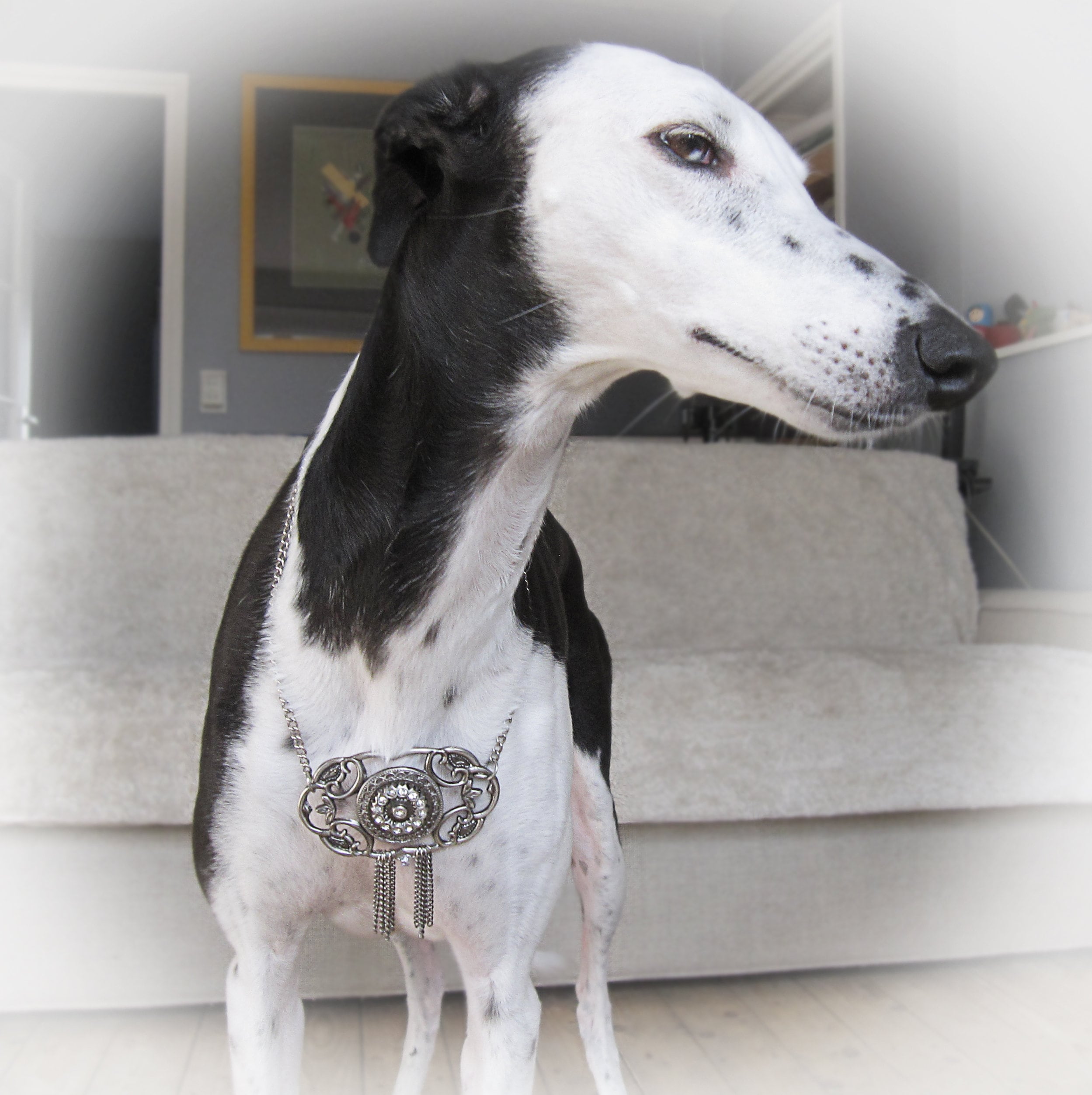 Silver Tone Dog Necklace With Rhinestones. Jewelry for Greyhound, Galgo, Borzoi, Lurcher, Saluki ...