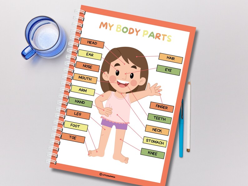 Printable Body Parts Busy Book for Toddlers and Preschoolers - Etsy