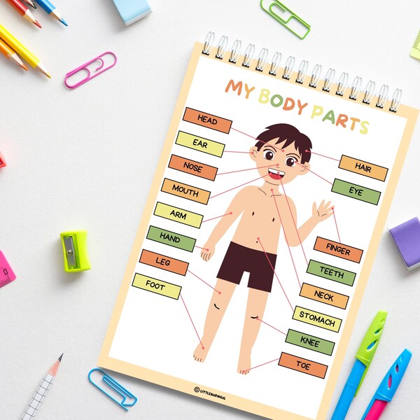 Human Anatomy Printable - Etsy