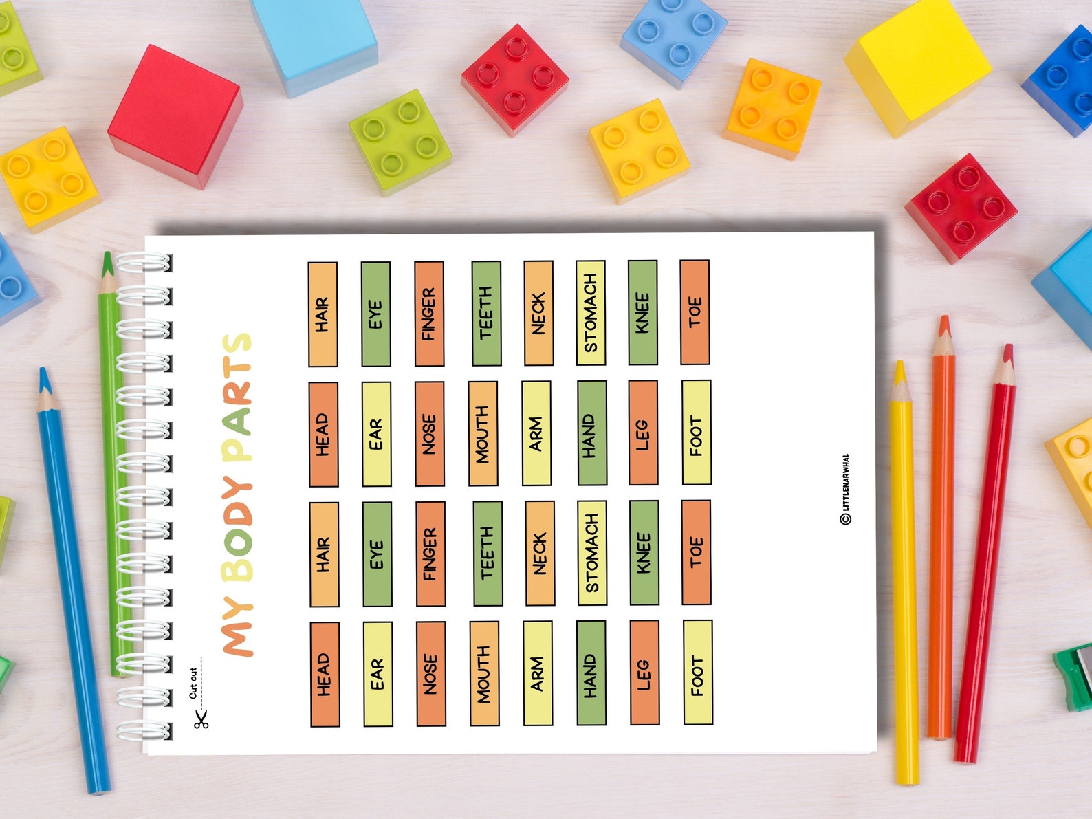 Printable Body Parts Busy Book for Toddlers and Preschoolers - Etsy