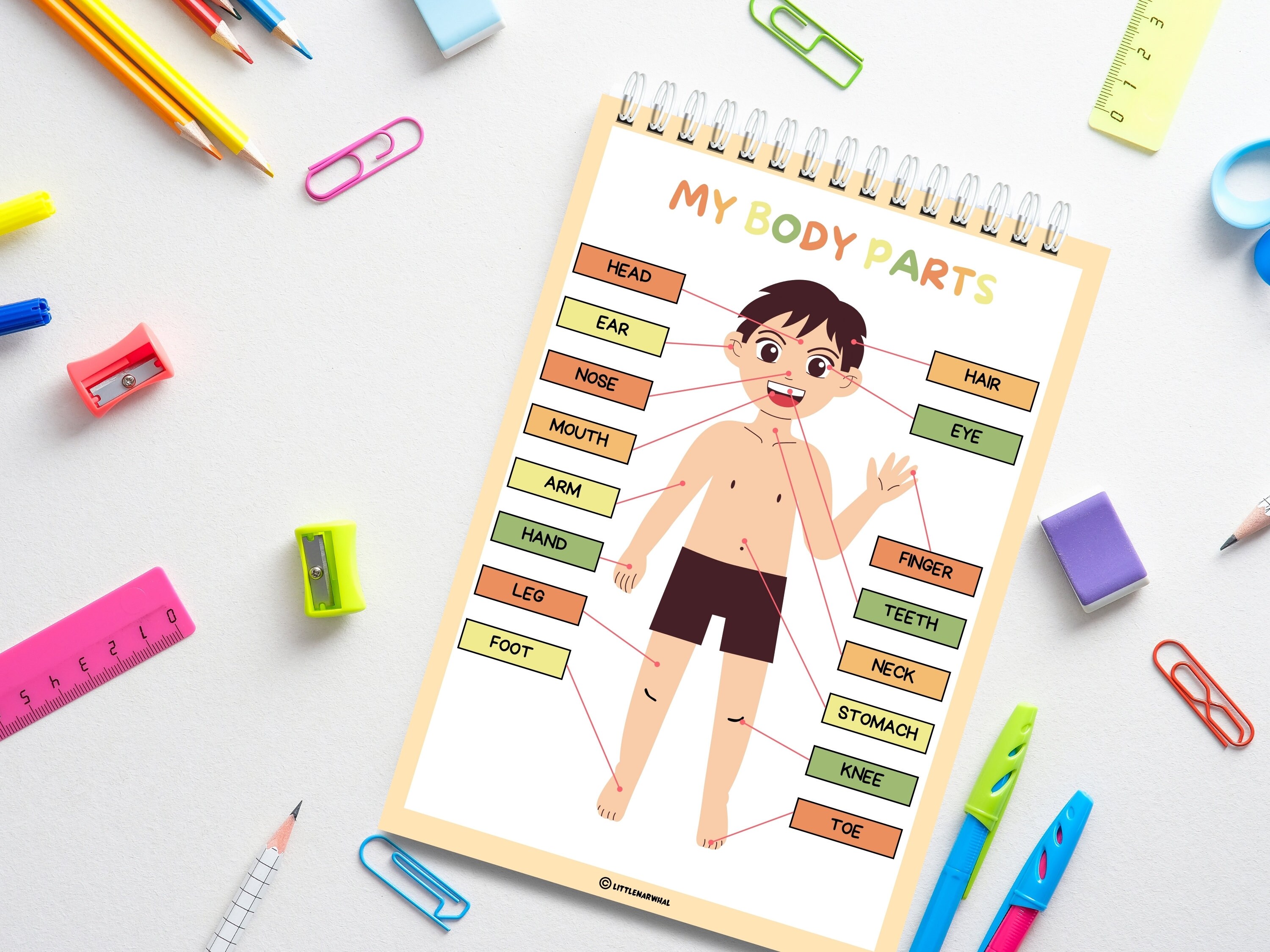 Printable Body Parts Busy Book for Toddlers and Preschoolers - Etsy
