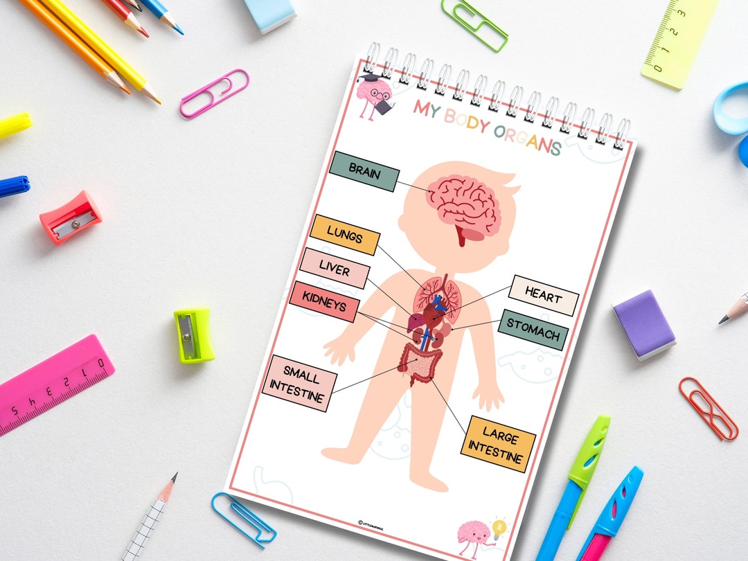 Human Body Organs Busy Book Printable, Human Anatomy, Montessori ...