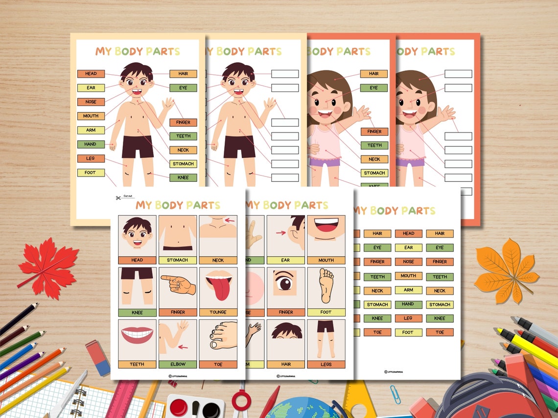 Printable Body Parts Busy Book for Toddlers and Preschoolers - Etsy