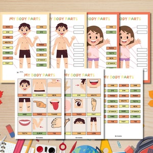 Printable Body Parts Busy Book for Toddlers and Preschoolers - Etsy