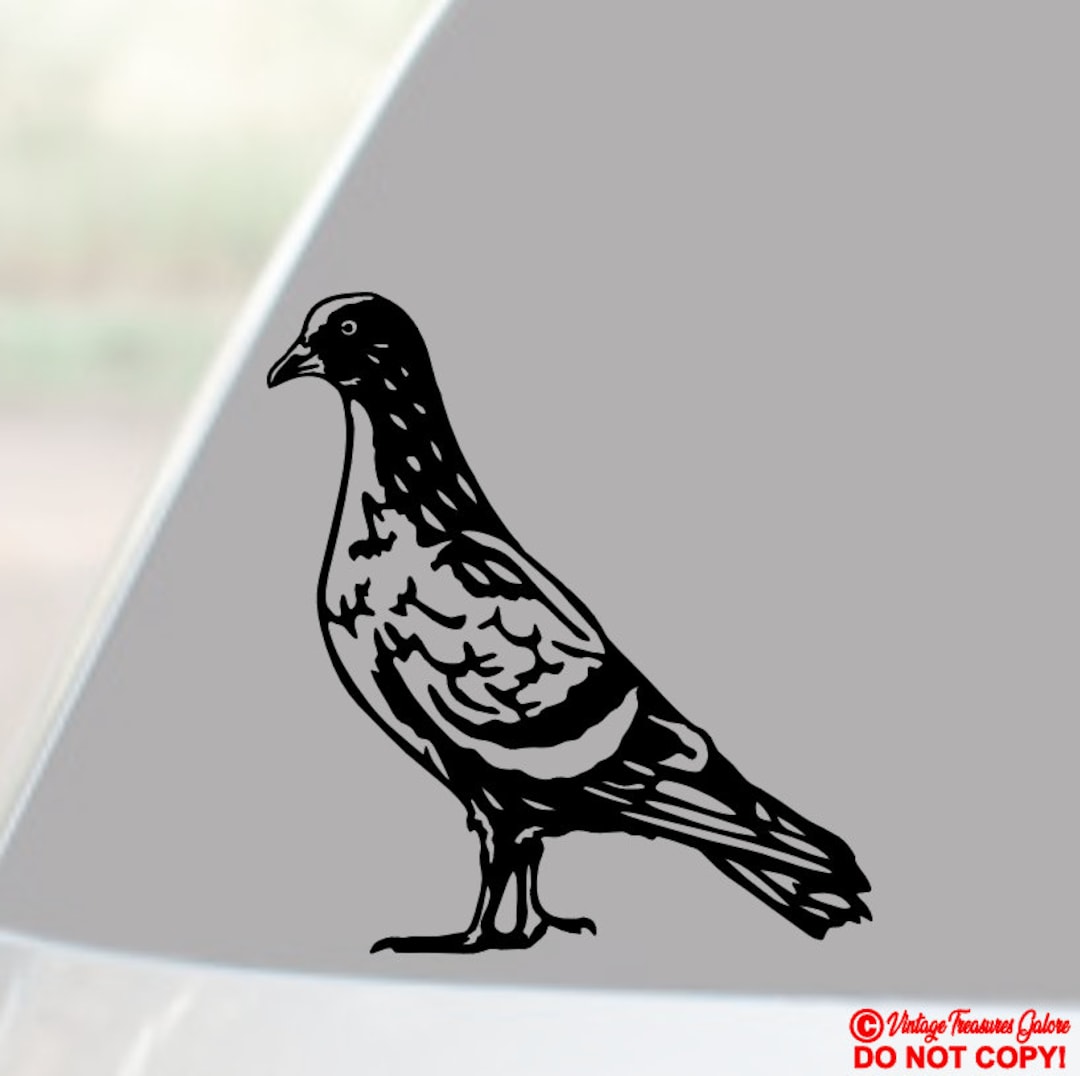 PIGEON / DOVE - Vinyl Decal Sticker Car Window Wall Bumper Suburban ...