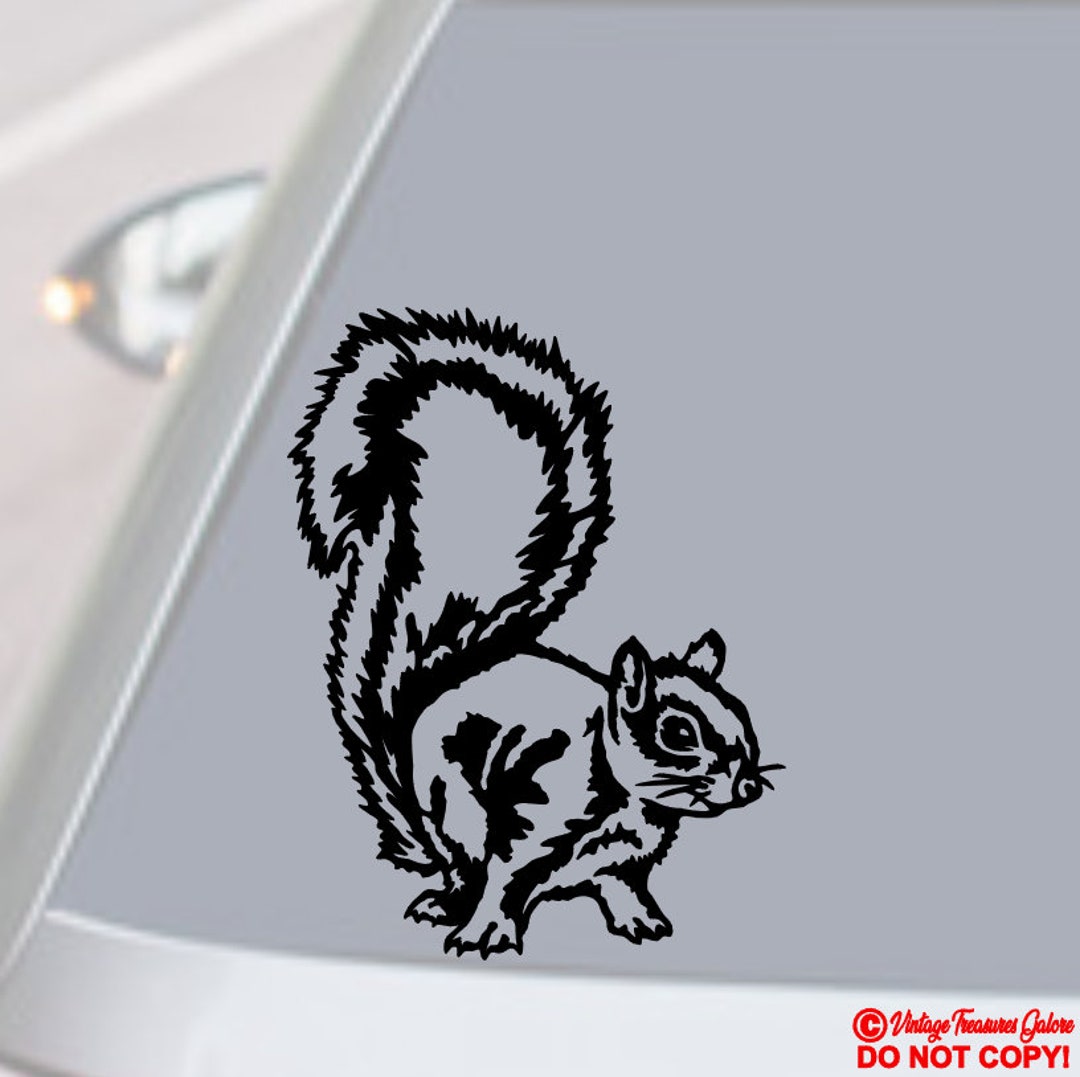 SQUIRREL Vinyl Decal Sticker Car Truck Van Suv Boat Laptop Window Wall ...