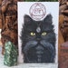 Small Size 4x6 Artwork oracle Cat Print on - Etsy