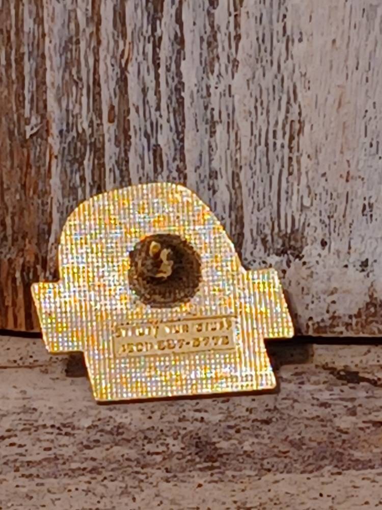 Vintage Eagle VR Goodyear Road Racing Classic Enamel Lapel Pin 1 Hat ...