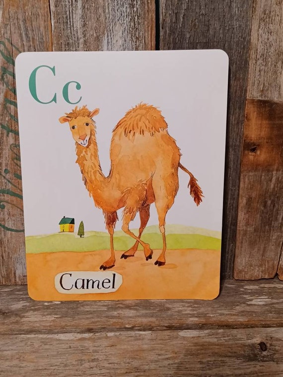 Animal Alphabet Parade