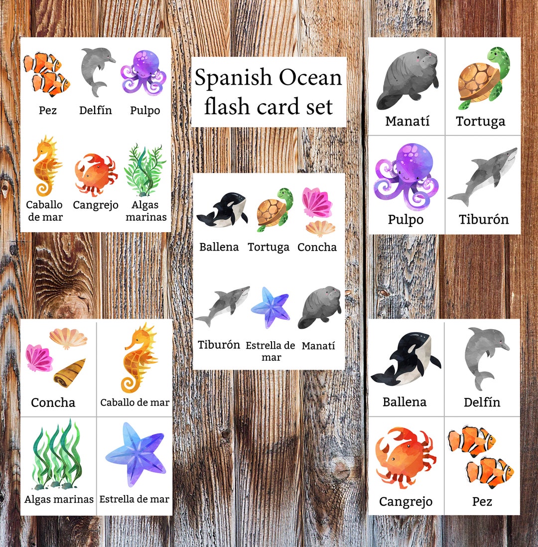 Spanish Ocean Learning Flash cards / Conjunto de tarjetas flash de tema ...