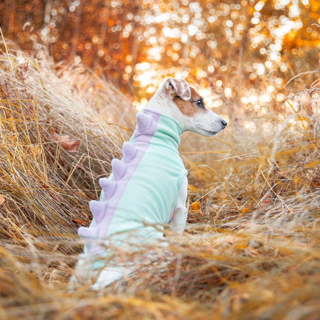 Dinosaur Dog Hoodie, Dino Dog Clothes, Warm Dog Sweater, Custom Dog ...