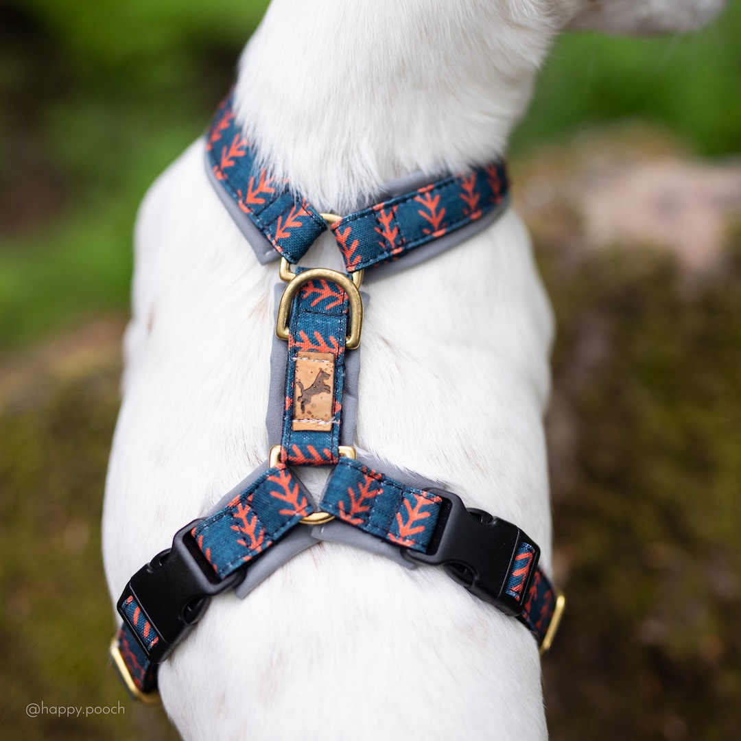 Boho Dog Harness, Custom Dog Harness, Adjustable Dog Harness, Hiking Dog Harnes, Big Dog Harness ...