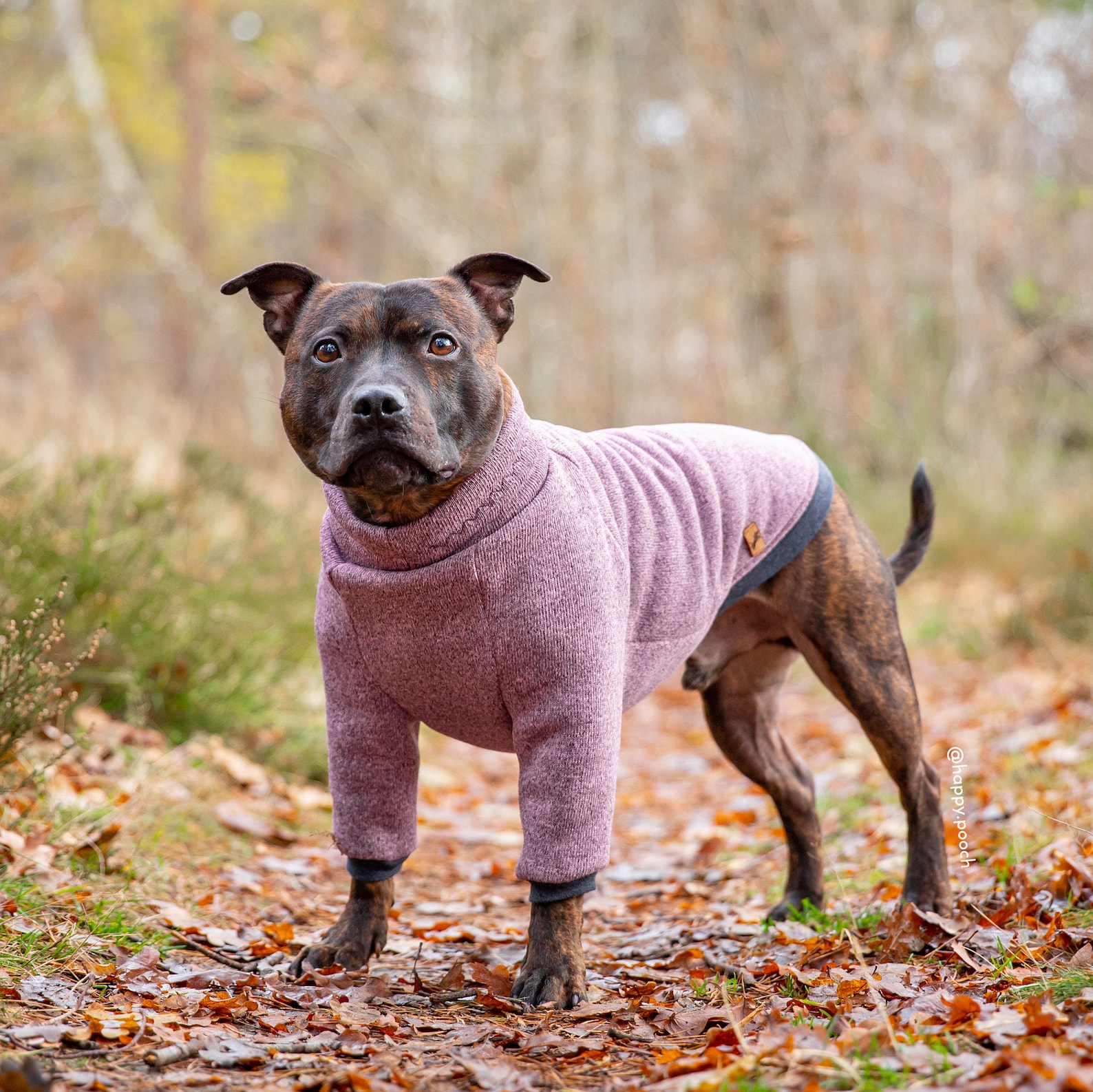 Warm dog coat Dog sweater Winter coat Warm Dog pajama | Etsy