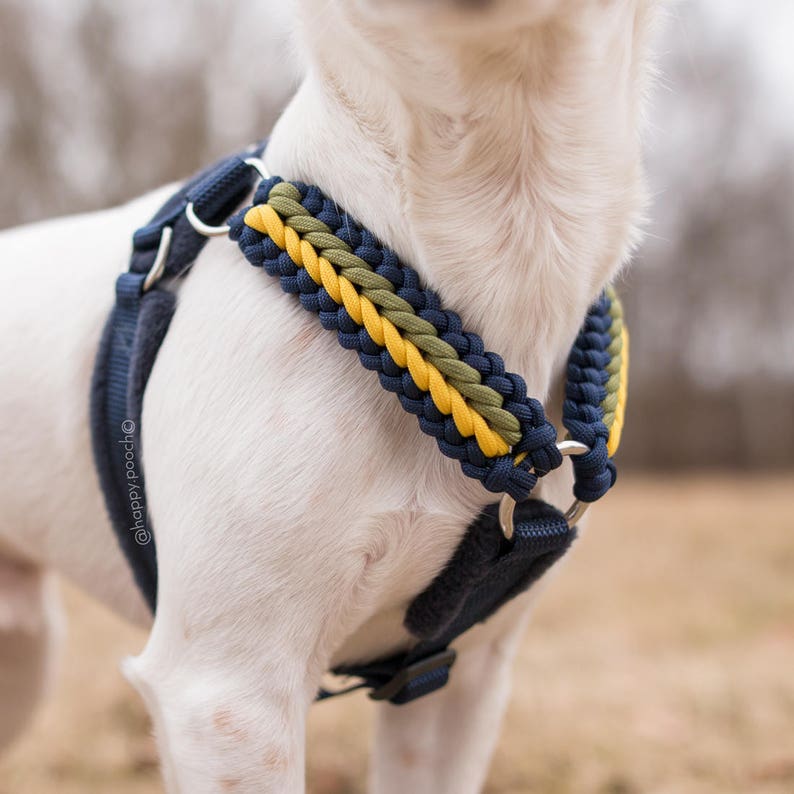 Adjustable Paracord Dog Harness Custom Dog Harness Walking - Etsy