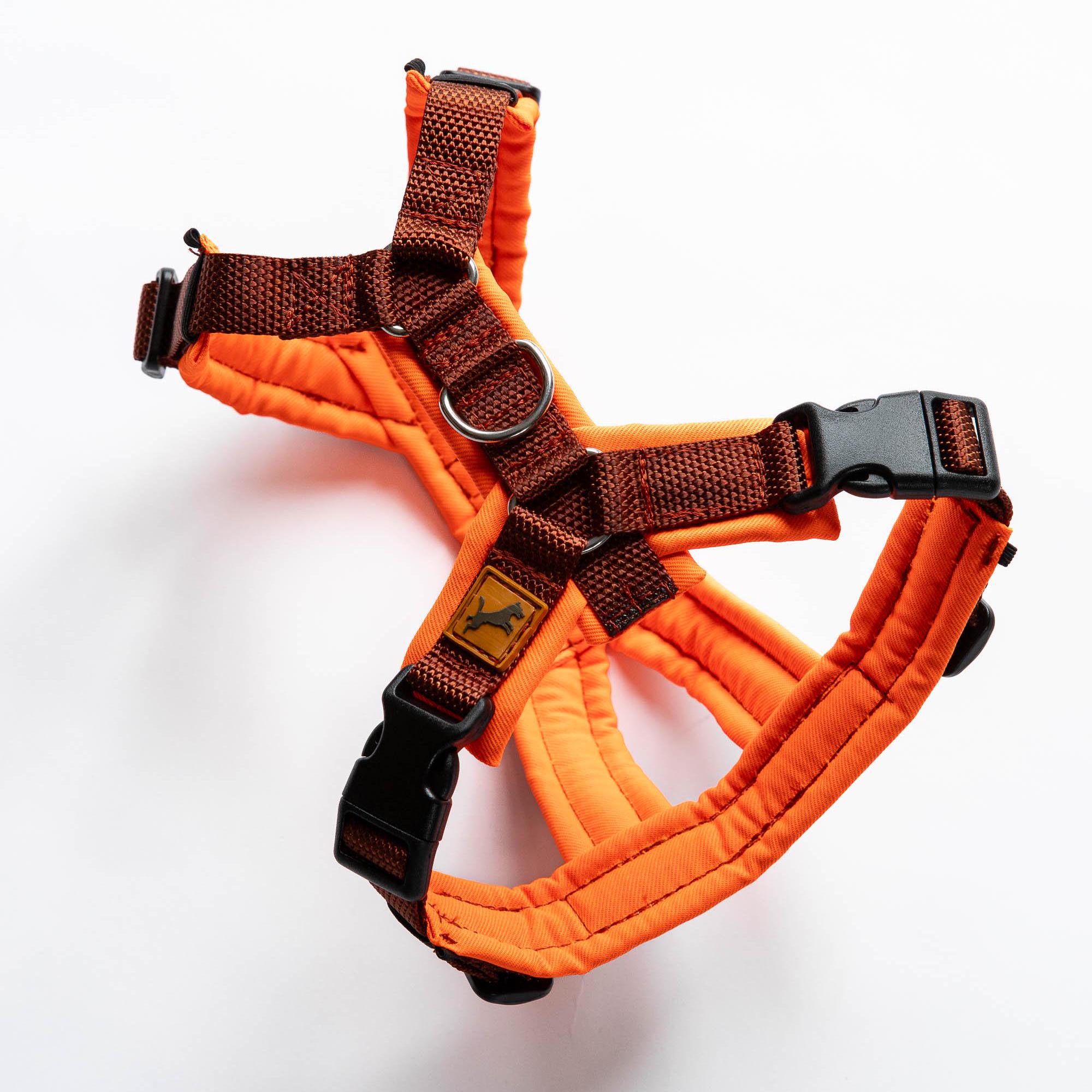 Y-harness, Made-to-measure Webbing Dog Harness, Custom Colour Dog ...