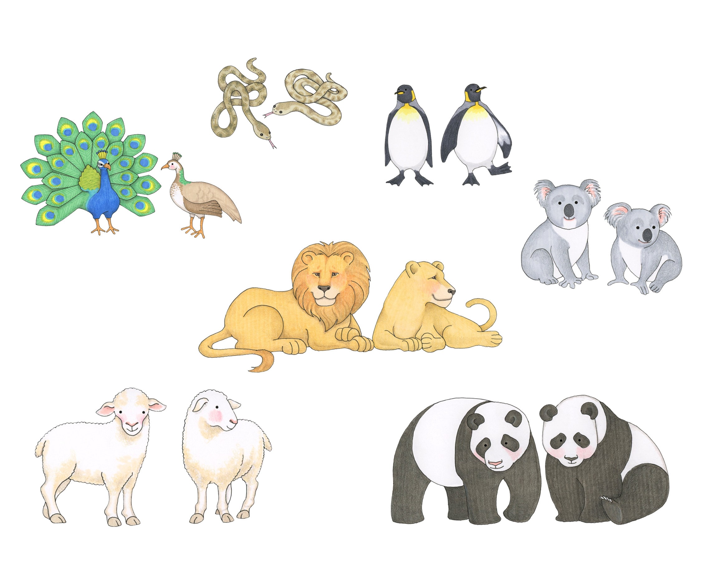 Animales Individuales Del Arca De Noé Para Imprimir Arca De Noé