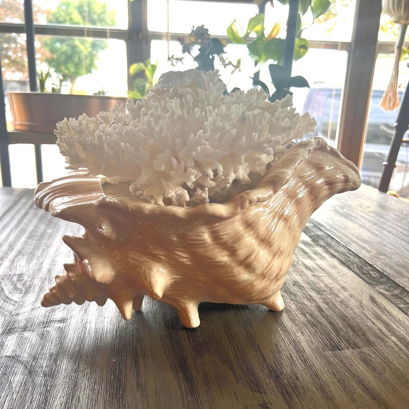 Conch Shell Planter - Etsy