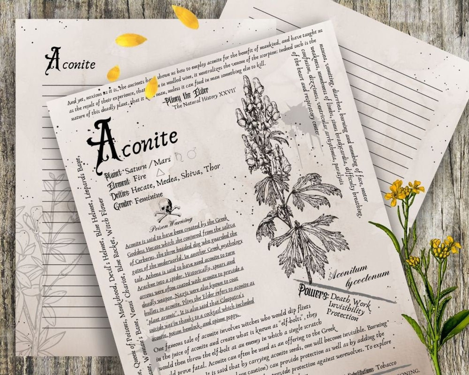 Aconite- Grimoire Printable, Book of Shadows Printable, Poisonous Herbs ...