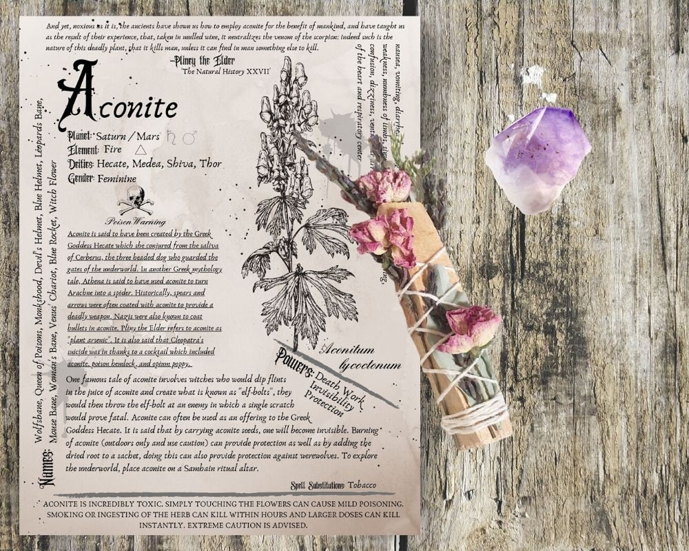 Aconite- Grimoire Printable, Book of Shadows Printable, Poisonous Herbs ...