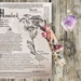 Hemlock- Grimoire Printable, Book of Shadows Printable, Poisonous Herbs ...
