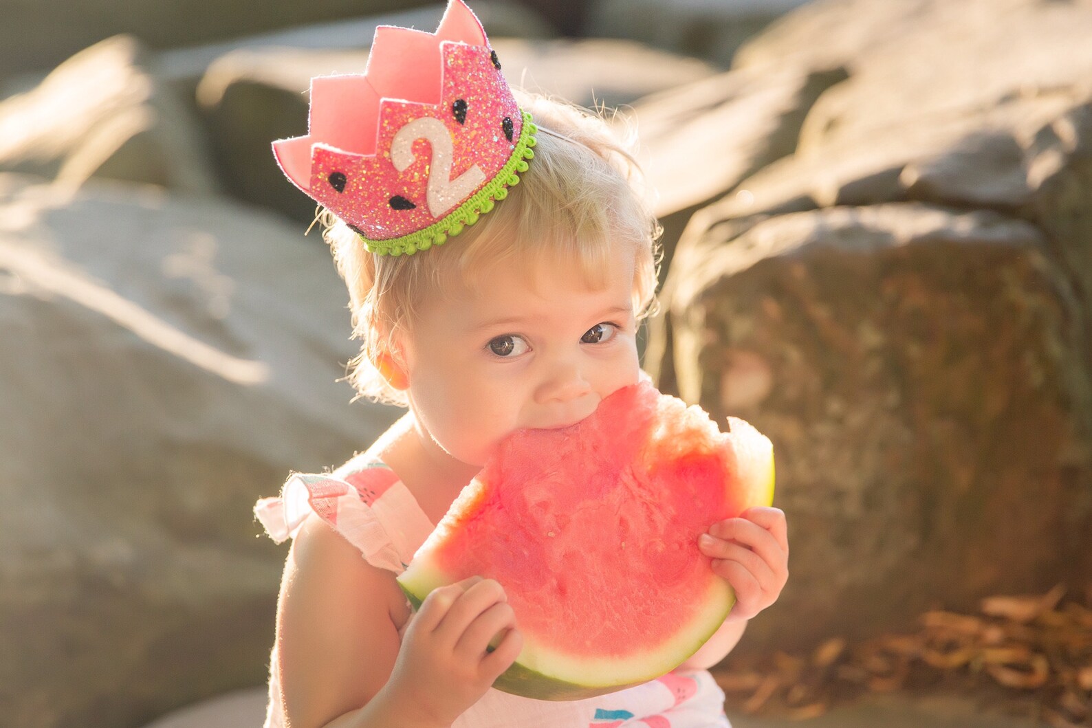 Watermelon Large Birthday Crown One in A Melon Birthday | Etsy